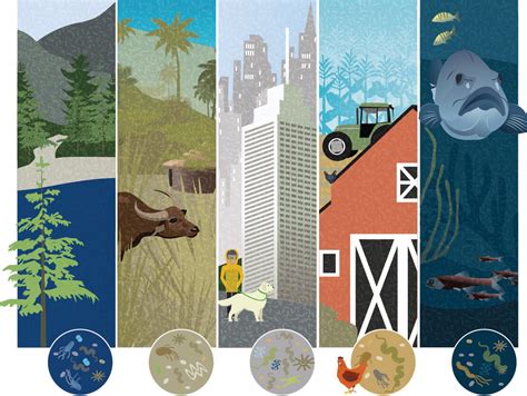 Ssc Conference To Bring Together Conservation And Microbial Research