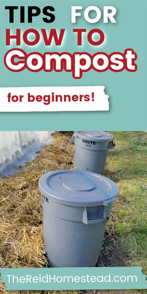 Simple Easy No Work Diy Composting Step By Step Instructions Artofit