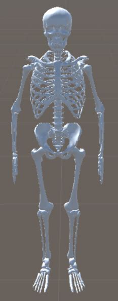 Use A Projector To Cull Pixels With Alpha Transparency Unity Engine