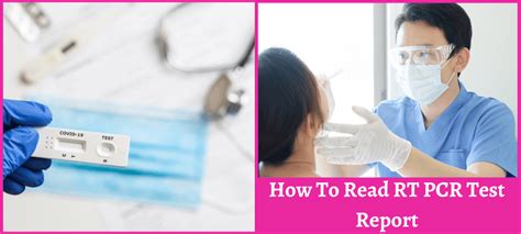 How To Read Rt Pcr Test Report Learn From Best