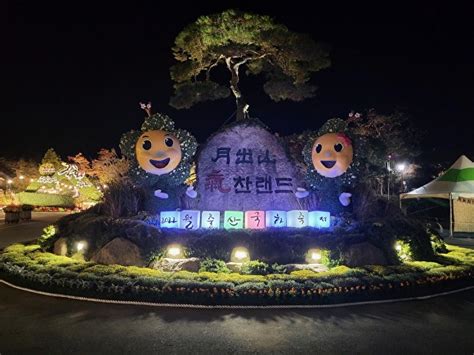 영암군 오는 29일 월출산 국화축제 개최