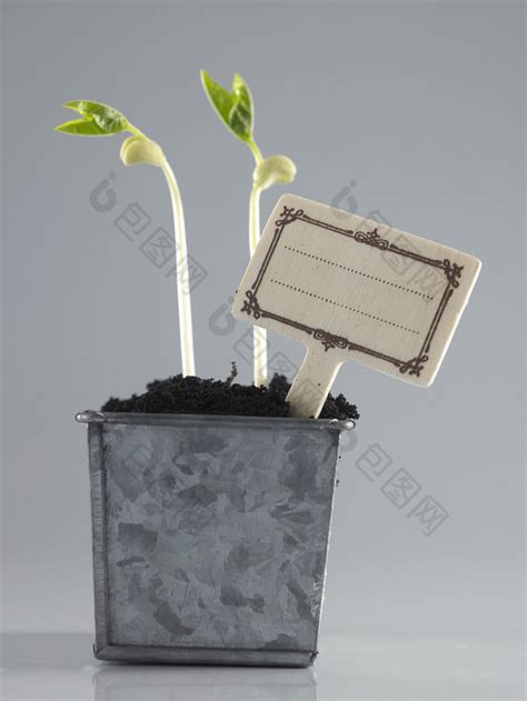 植物生长过程图片 包图网企业站
