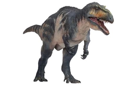 Torvosaurus By Dracoawesomeness On Deviantart