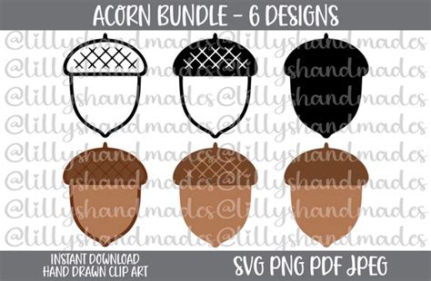 Acorn Svg Bundle Acorn Clipart Acorn Png Acorn Vector Etsy Canada