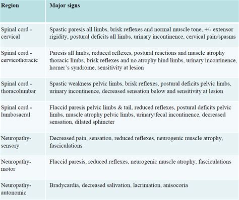 Diagram Of Spinal Cord And Peripheral Ns Dysfunction Quizlet