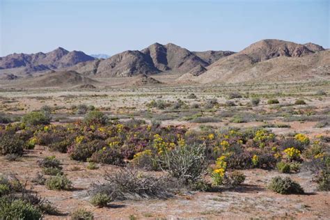 Richtersveld Transfrontier Park Guide And Map