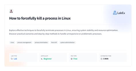 How To Forcefully Kill A Process In Linux Labex