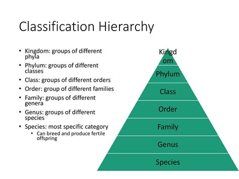 Classification Classification The Science Of Grouping Organisms Into Taxonomic Groups Based On