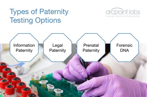 Understanding The Importance Of Paternity Dna Testing What You Need To Know Arcpoint Labs Of