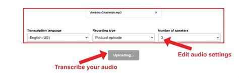 How To Create Podcast Audiograms Soundmadeseen