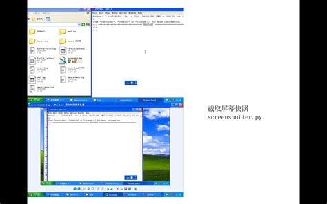 2017 2018 2 20179204 python黑帽子 黑客与渗透测试编程之道 20179204葛鸽 博客园