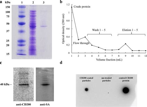 A Purification Of Human Cd200 Sa Protein Using Hispur Ni Nta Resin Download Scientific