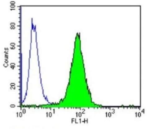 Ppar Alphanr1c1 Antibody 3b6ppar Bsa Free 100 Ug Unconjugated