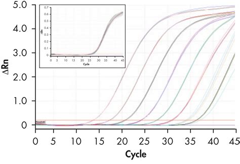 Certal Residual Dna Detection Kit