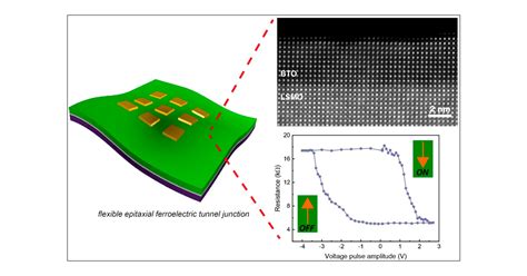 Flexible Memristors Based On Single Crystalline Ferroelectric Tunnel Junctions Acs Applied