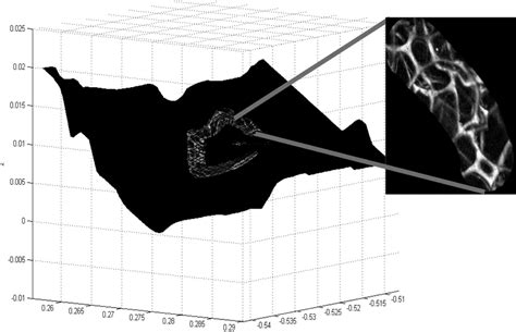 Surface Recontruction And Mapping Of The Generated Mosaic Onto It