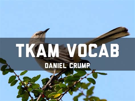 Tkam Vocab By Daniel Crump