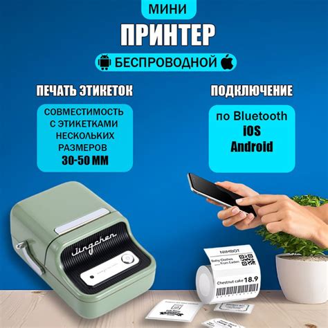 Принтер для наклеек этикеток термо Niimbot B21 зеленый купить на Ozon по низкой цене 2187823407