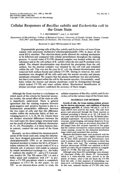 pdf cellular responses of bacillus subtilis and escherichia coli to