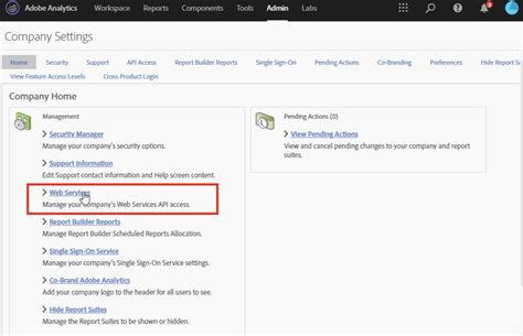 Adobe Analytics Connection Guide