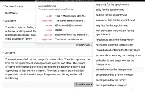 Documentation Write Better Notes In Less Time With Practicepicnic