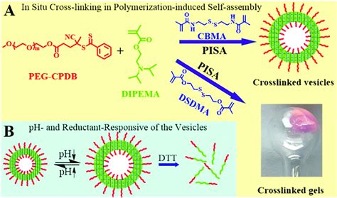 A In Situ Cross Linking In Pisa To Fabricate Robust Membrane Download Scientific Diagram