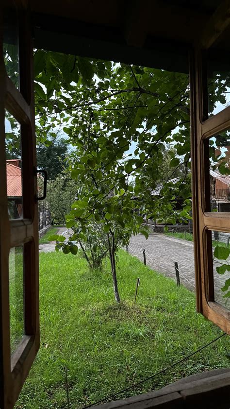 Ethnographic Museum Borjgalo 🔎ტრადიციული სამოსის უკეთ გაცნობის