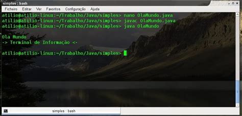 Programação Configurando Java JDK Terminal de Informação