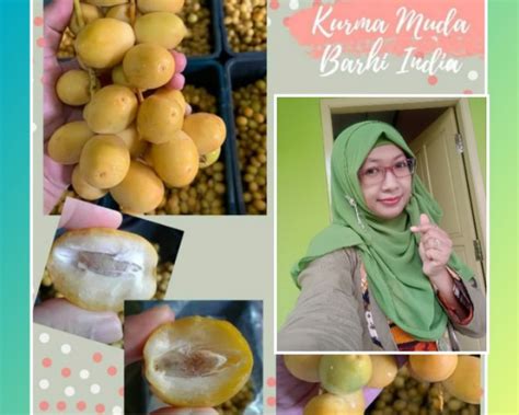 Cemilan Mungil Cantik Bahagia