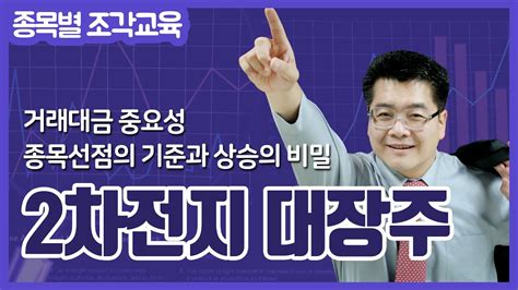 2차 전지 대장주 교육 및 전략 Lg에너지솔루션 And Lg화학 And 삼성sdi And 포스코케미칼 And Sk이노베이션 And 엘앤에프