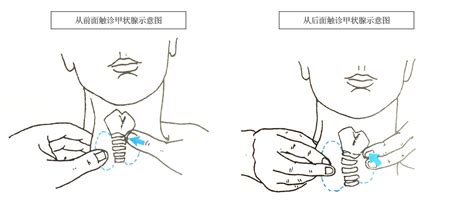 实验详情