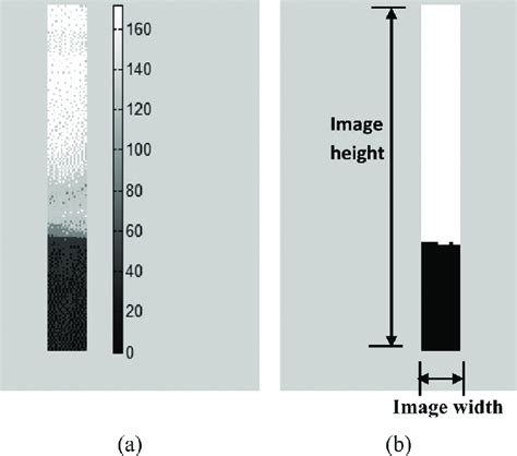 Conversion From A An RGB Image To B A Binary Image Download Scientific Diagram