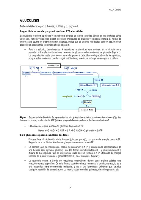 Glucolisis Proceso Metabolico Glucolisis Material Elaborado Por J