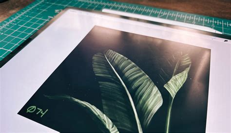 The Best IPad For Procreate In 2023