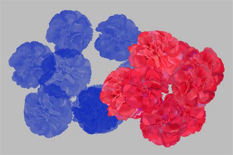 Hi How Do You Color The Rose Brush From Firealpaca Tutorials And Brushes