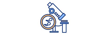 A Detailed Guide On Sperm Chromatin Dispersion Test