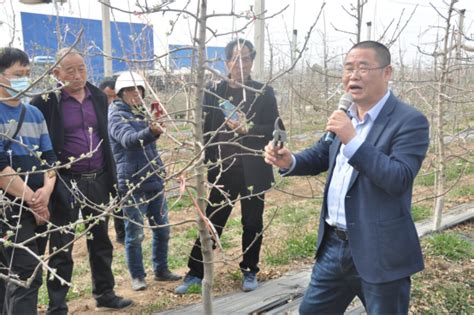 勤学技术有力量 共谋果业大发展渭南市春季果园管理云课堂技术培训圆满举办
