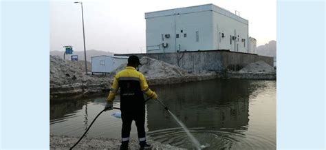 معالجة 466 موقعاً لتجمعات المياه بالأحساء وطرق حيوية للمكافحة الحشرية