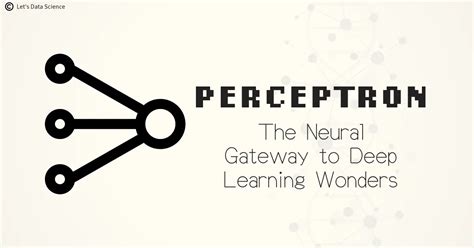 Perceptron The Building Block Of Neural Networks Let S Data Science