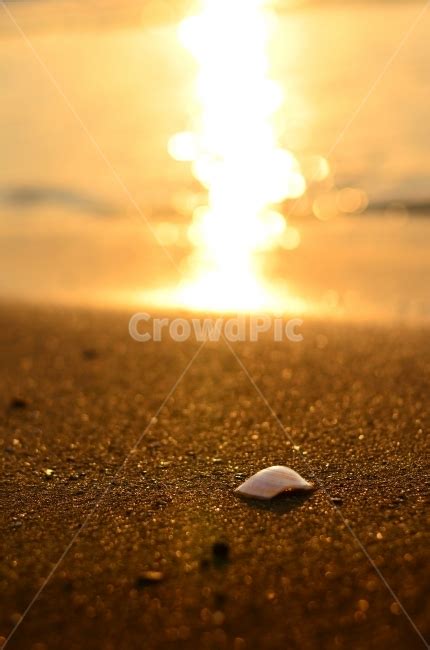 일출 반영 모래 조개 해변 사진 이미지 일러스트 캘리그라피 Joon6979작가