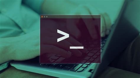 Learning Linux Essentials Taking Your First Steps In Linux StudyingTech Courses