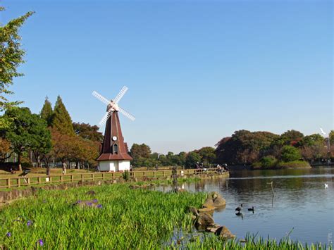浮間公園渡り鳥 Eえっちゃん 東京を行く 楽天ブログ