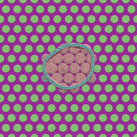 Cicada Wings Kill Superbugs On Contact And We May Finally Know How Sciencealert