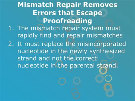 Ppt Chapter 9 The Mutability And Repair Of Dna Powerpoint
