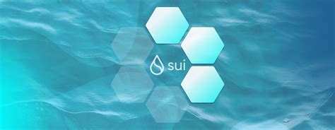 Creating Objects And NFTs Encode Club Sui Series