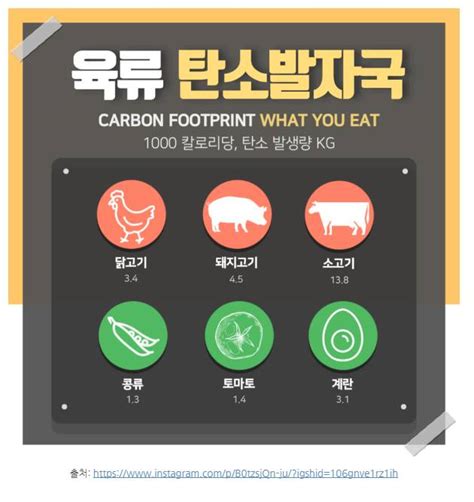 고기없는 월요일 채식의 환경 효과 인스티즈 Instiz 인티포털 카테고리