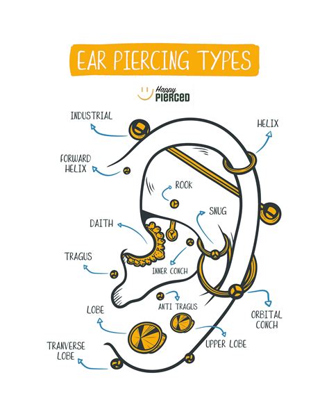 Best Ear Piercing Chart Downloadable Ear Piercing Chart