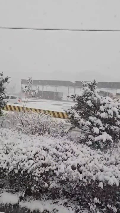 와~~첫눈 겨울이다☺️☃️☃️ ️ ️ Youtube