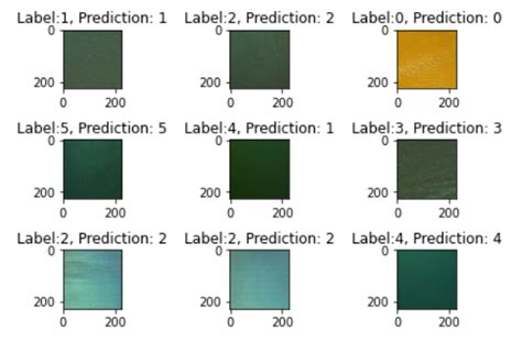 Github Yashrb24leather Defects Paper Implementation