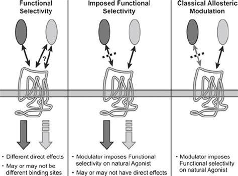 5 Relationship Of Functional Selectivity Stimulus Trafficking To Download Scientific Diagram